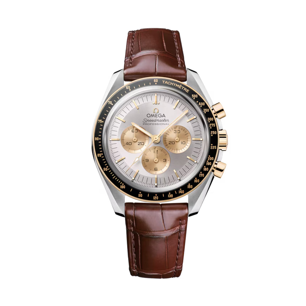 Omega Speedmaster Moonwatch Professional – Otteren